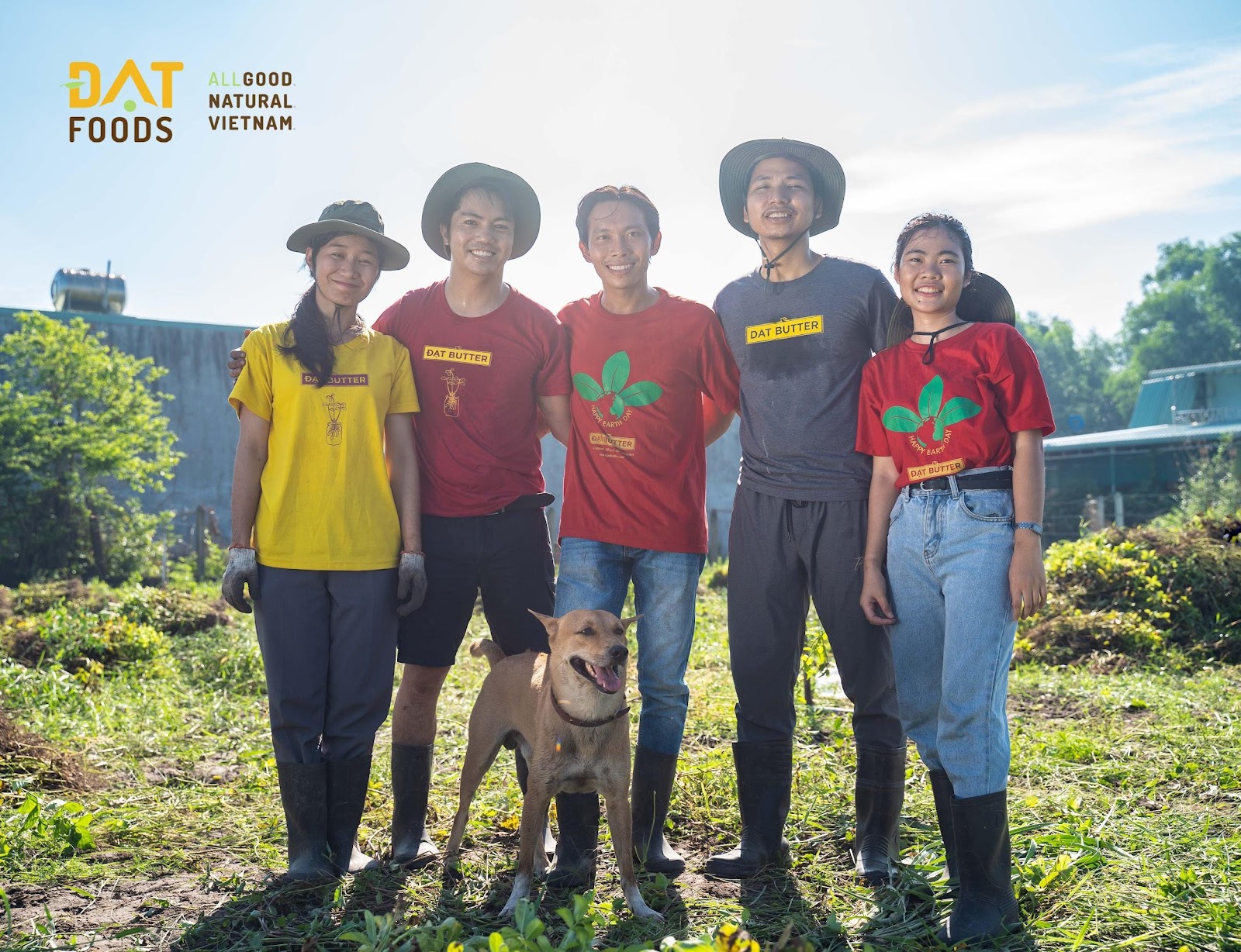 Solutions to increase income for farmers